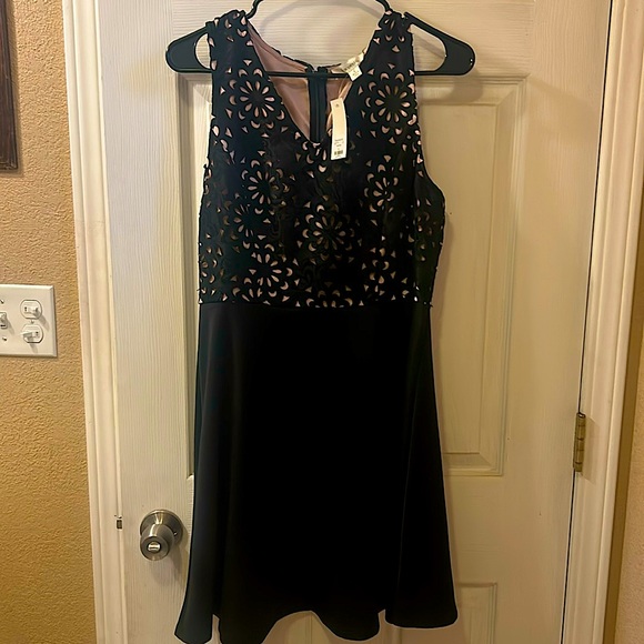 Francesca's Collections | Dresses | Formal Knee Length Black Dress With ...